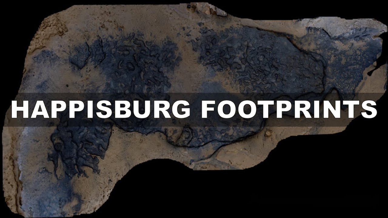 Happisburgh Footprints- The Oldest Human Footprints Outside Africa ...
