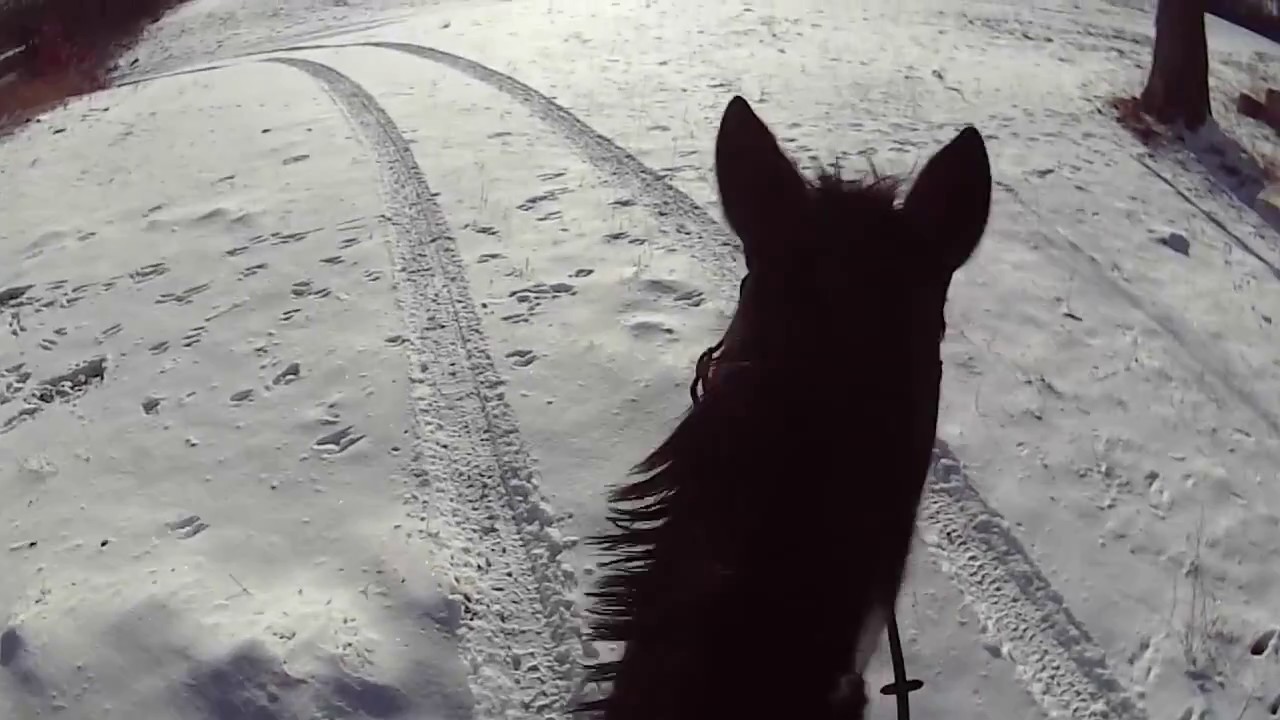 Hamlet Boxing Day 2017 - YouTube