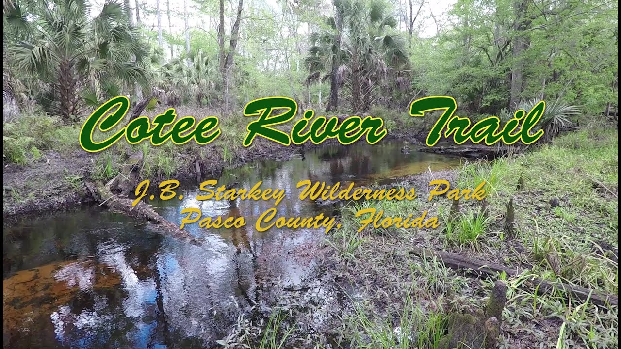 Starkey Cotee River Trail - YouTube