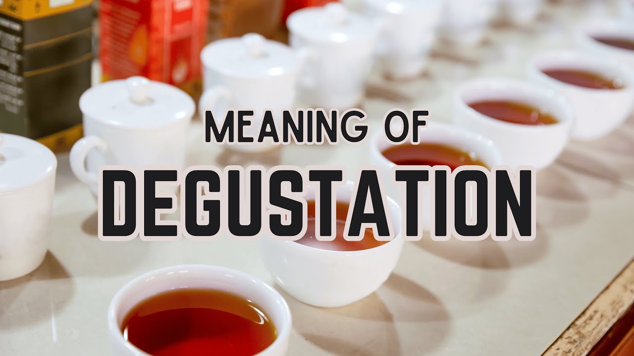 What is the meaning of Degustation? - YouTube