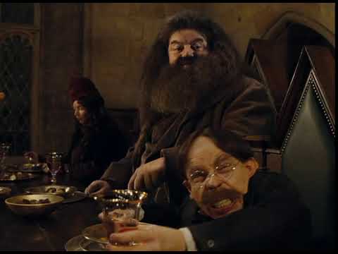 Hagrid stabs Flitwick's hand with a fork | Harry Potter and The Goblet of Fire