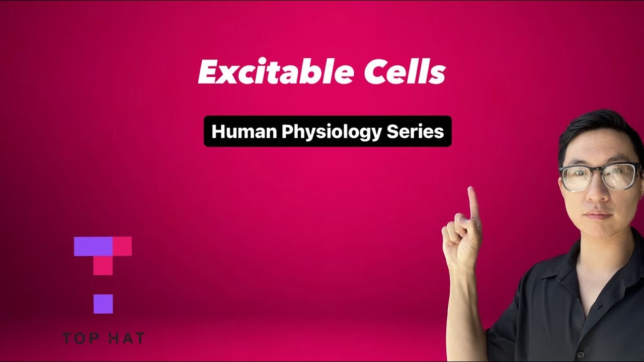 Tophat Excitable Cell Synapses - YouTube