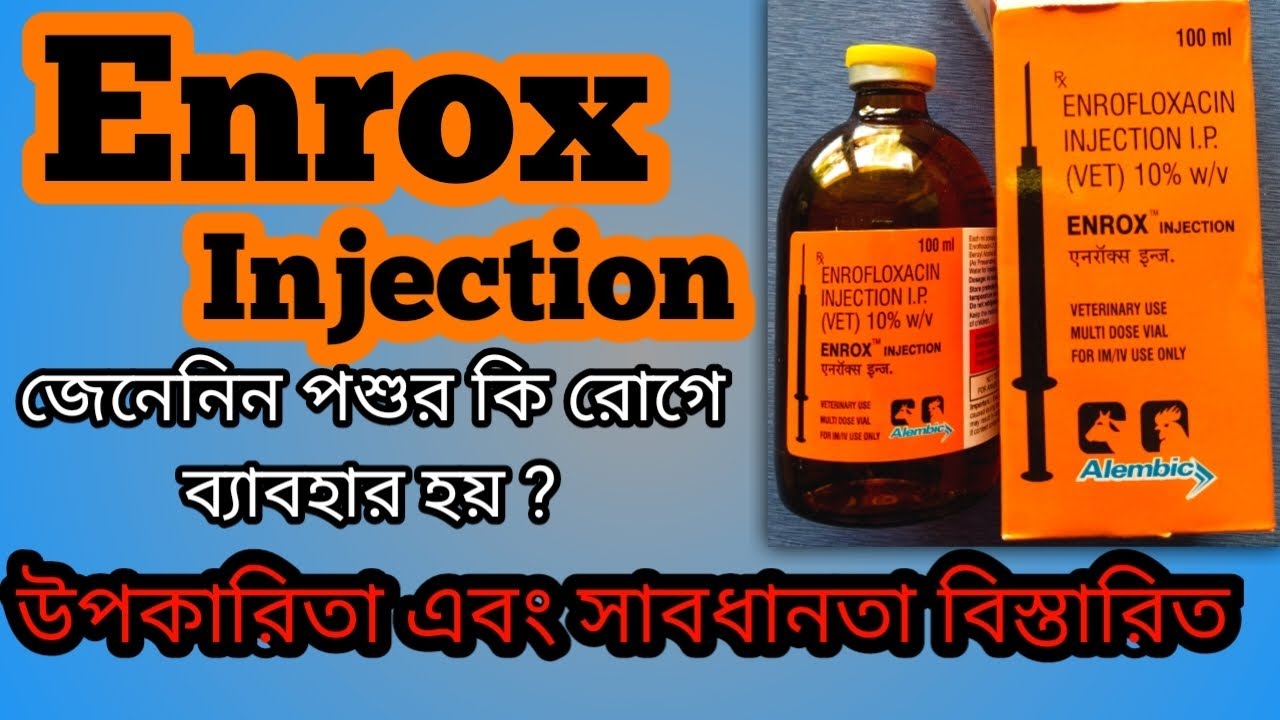 Enrox Injection পশুর কি কাজে ব্যবহার হয় ?Enrofloxacin Injection use in ...