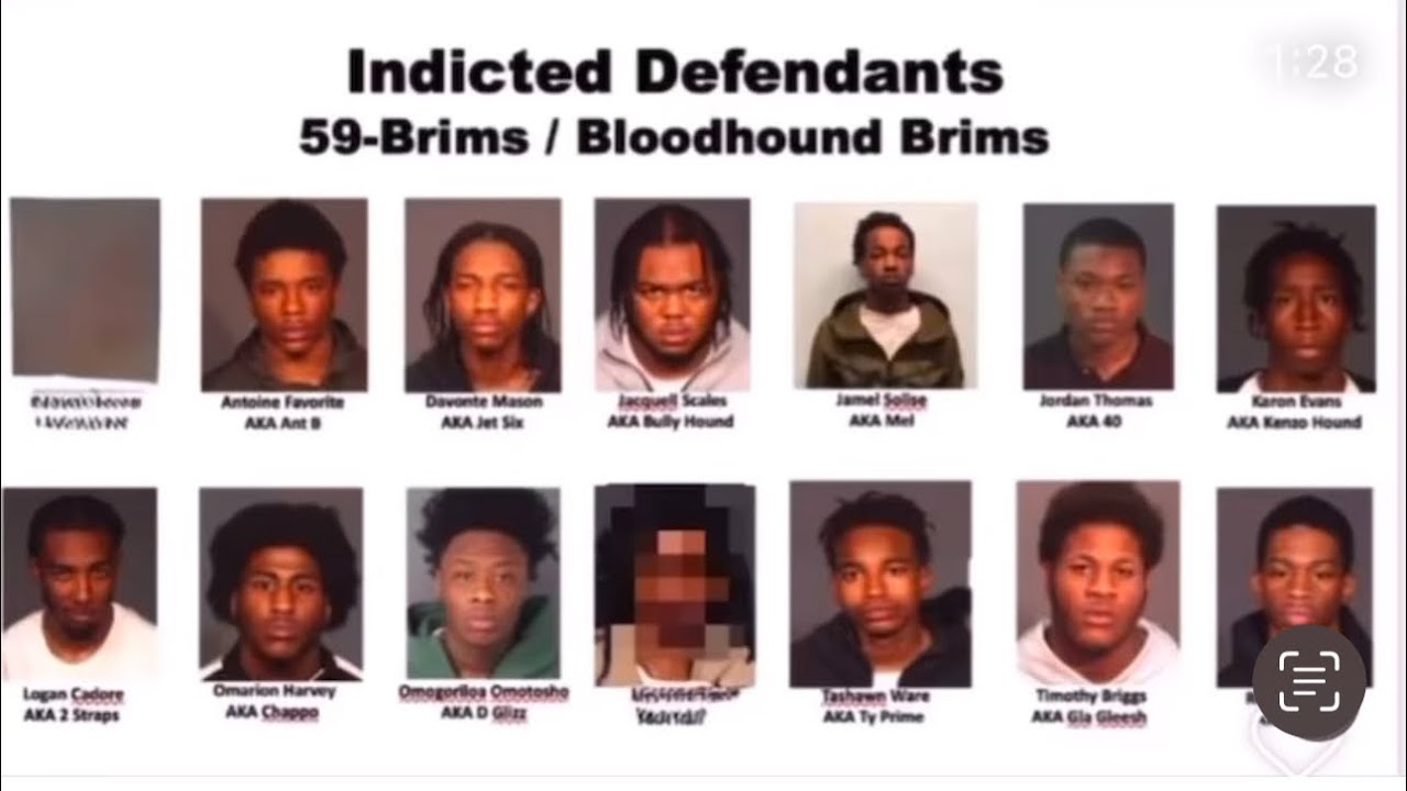 59 BRIMS / BLOODHOUND BRIMS INDICTMENT IN BROOKLYN NEW YORK 120 PAGE ...