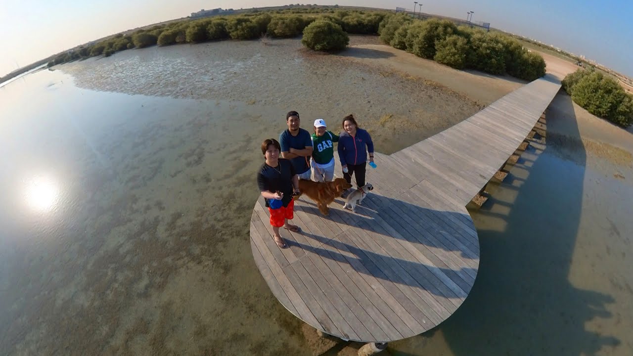 Mangrove Beach Camping Umm Al Quwain March 10, 2023 - YouTube