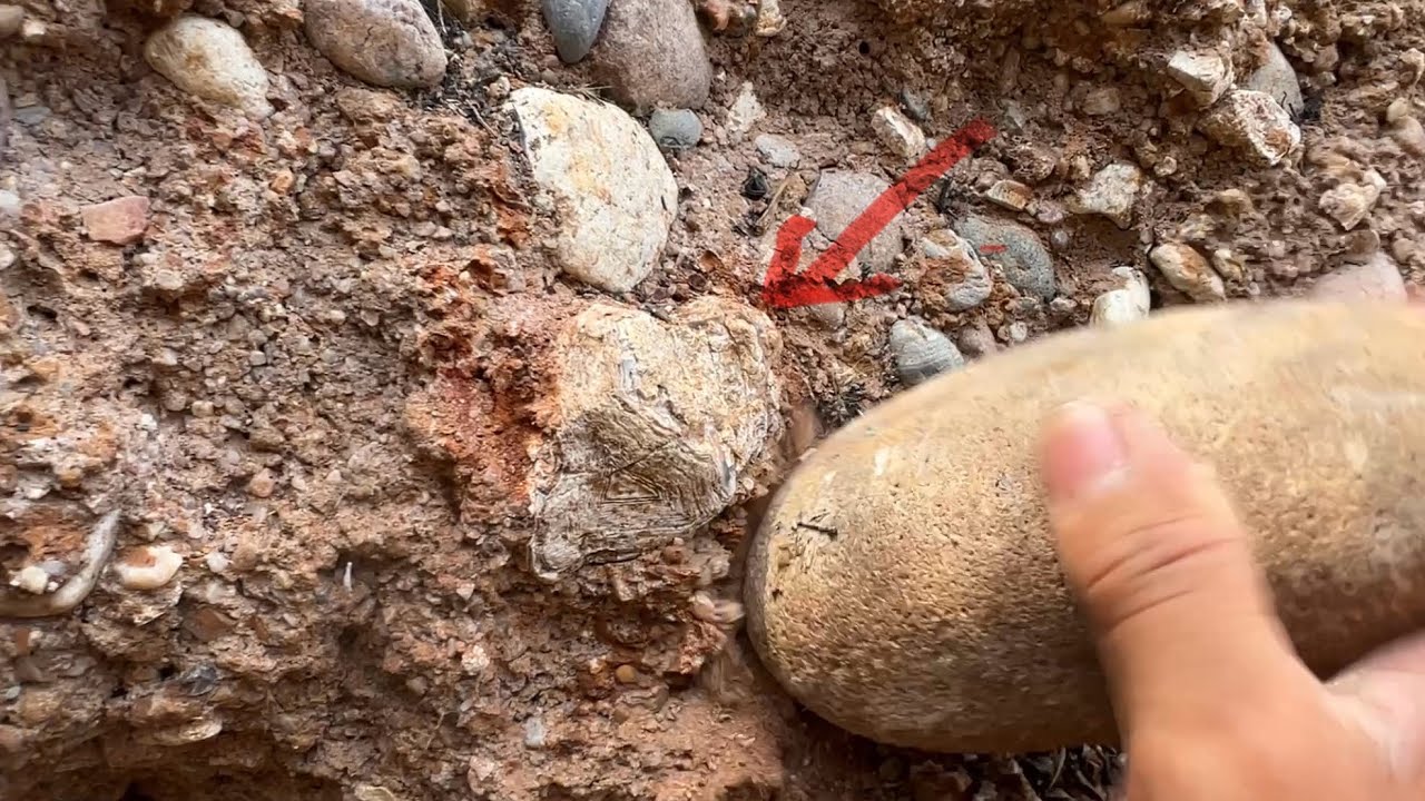 Digging agates moss agate agatized 2025 - YouTube