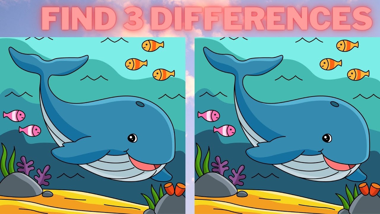 Find 3 Differences | Exercise Your Brain | Video 761 - YouTube