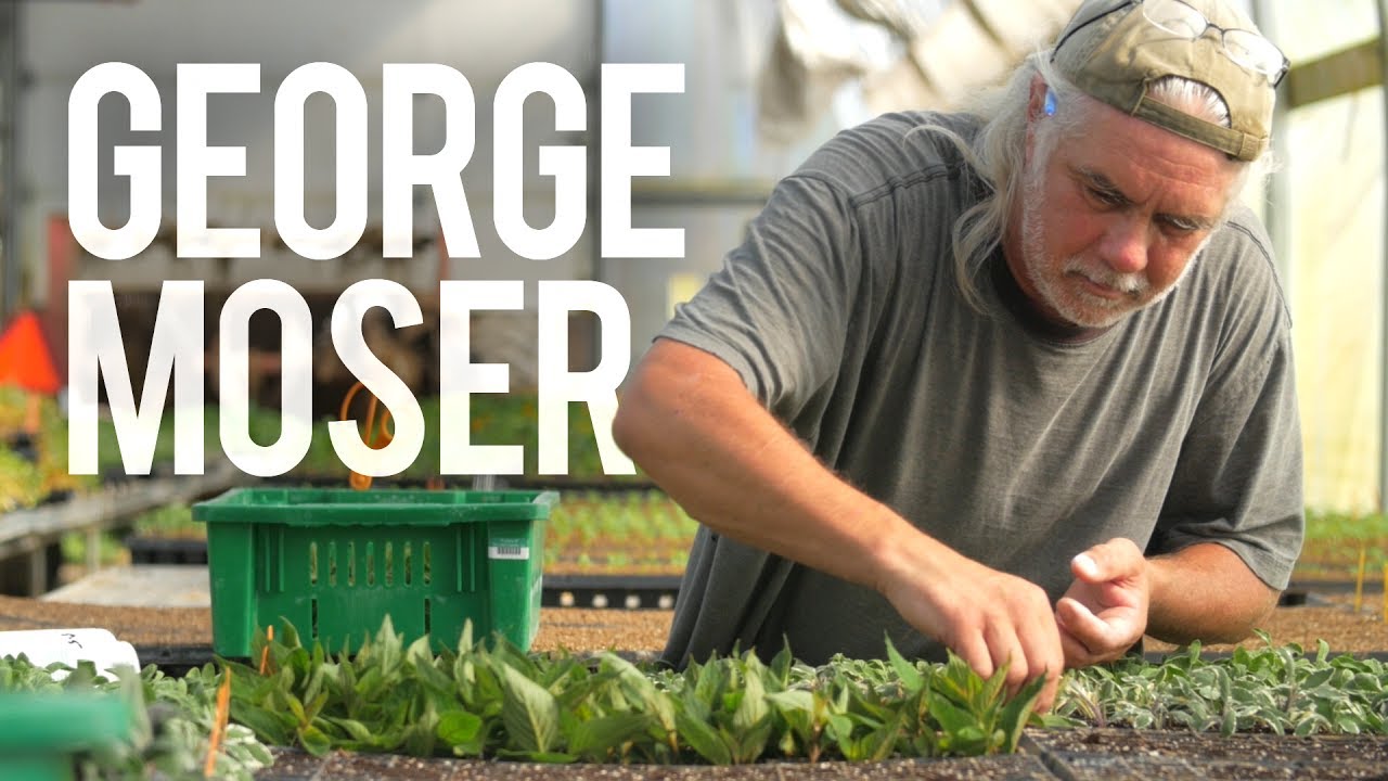 Meet Our Team | George Moser - YouTube