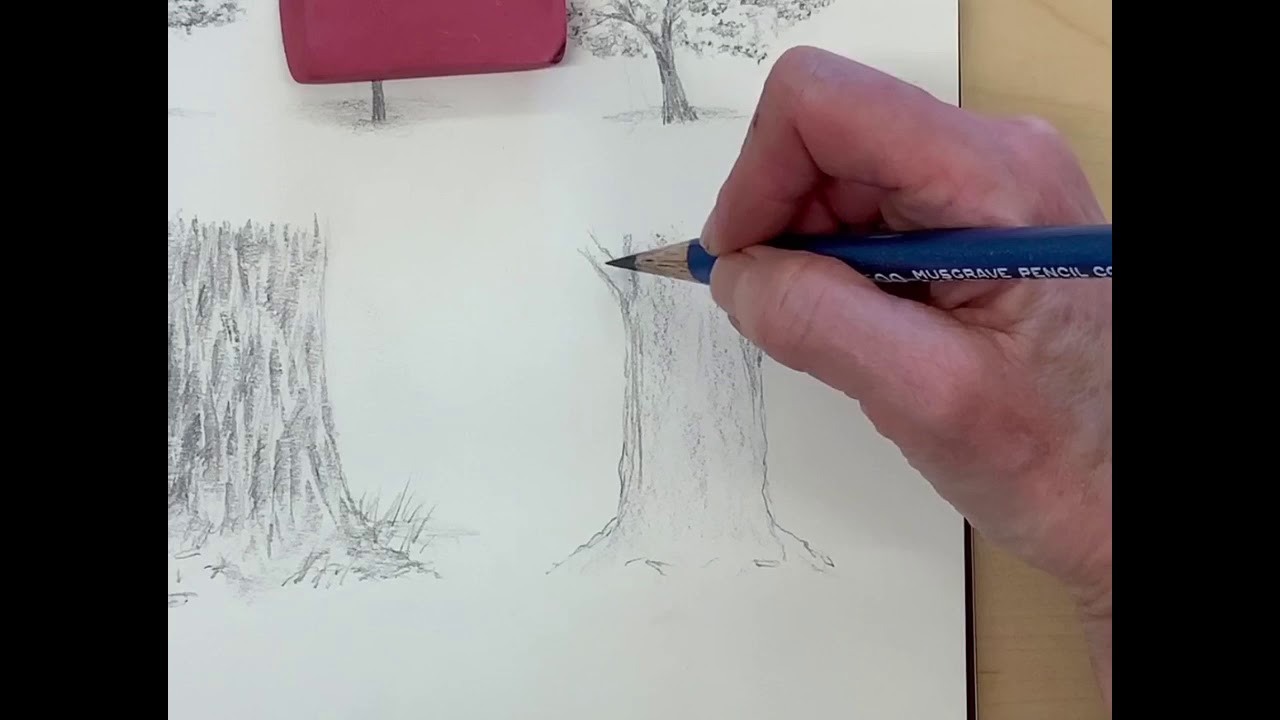 Drawing Bark on a Tree Tutorial - YouTube