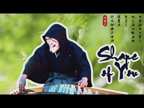 TRiECHOES feat DJ SHOTA - Shape of You - Ed Sheeran Đàn Tranh Nhật Bản Cực Chất