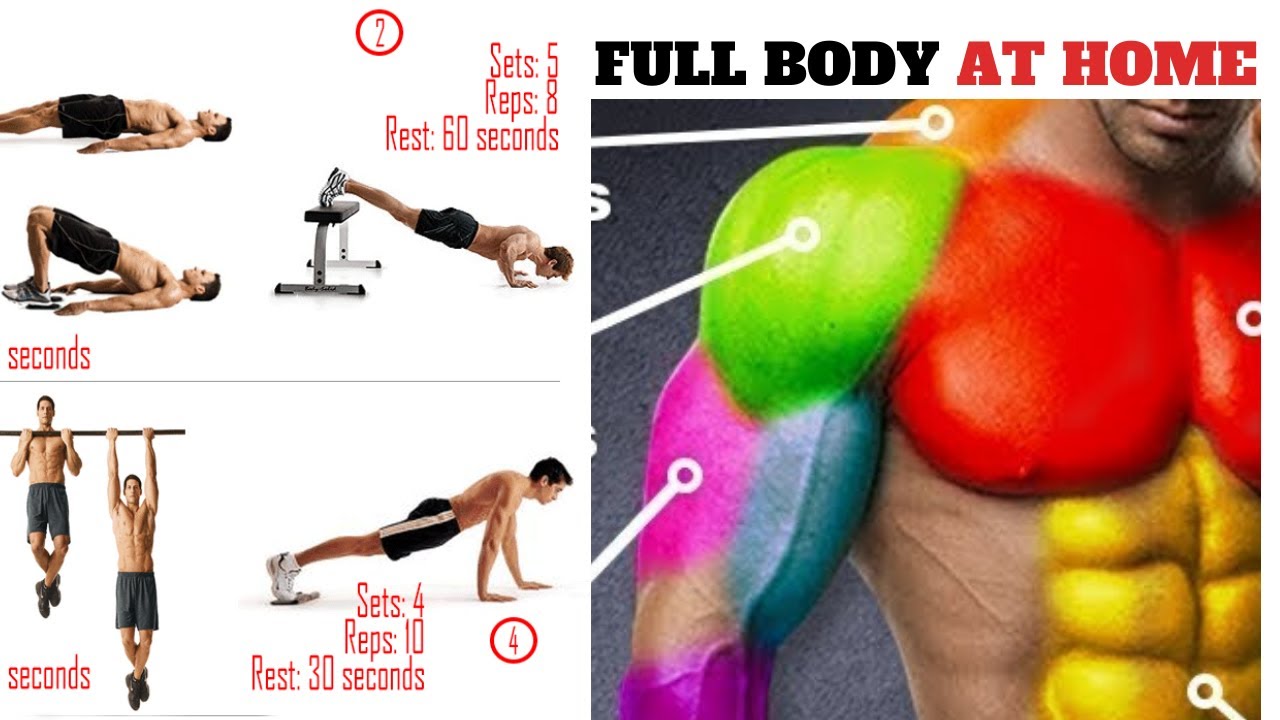 PERFECT FULL BODY WORKOUT SUPERSET / 14 meilleurs exercices musculation ...