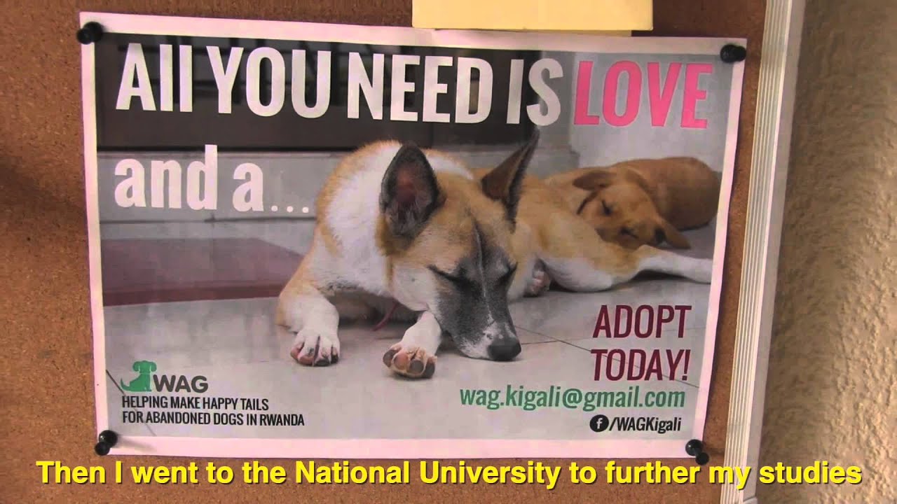 Rise and Shine Rwanda : ‘WAG’ DOG ADOPTION - YouTube