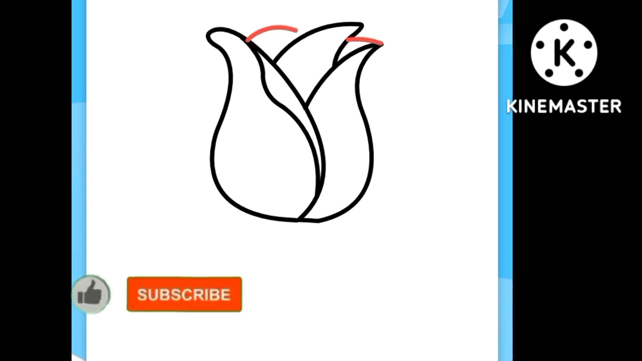 Rose drowing !How to drow Rose step by step Rose 🌹 Drowing - YouTube