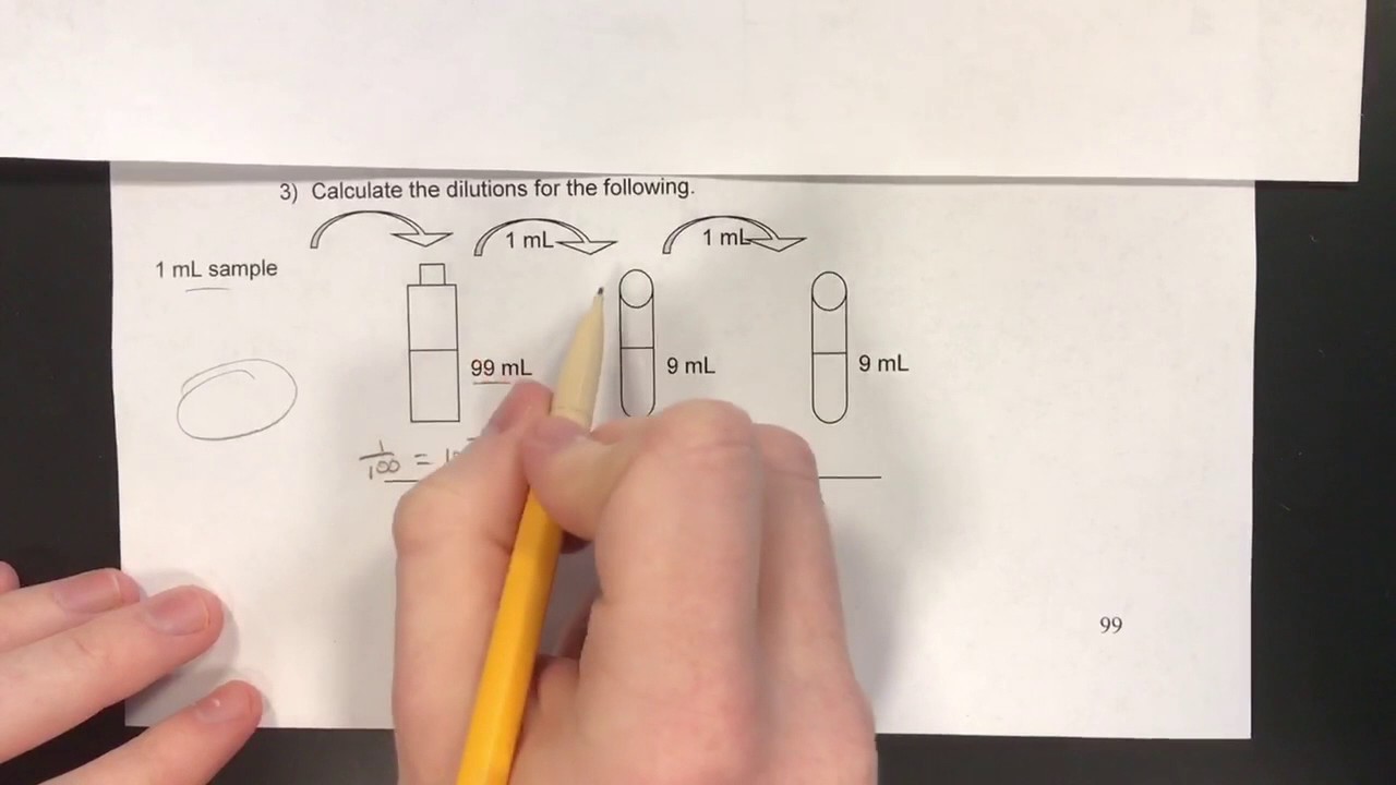 Dilution Scheme Practice - Corning Community College MicroBio - YouTube