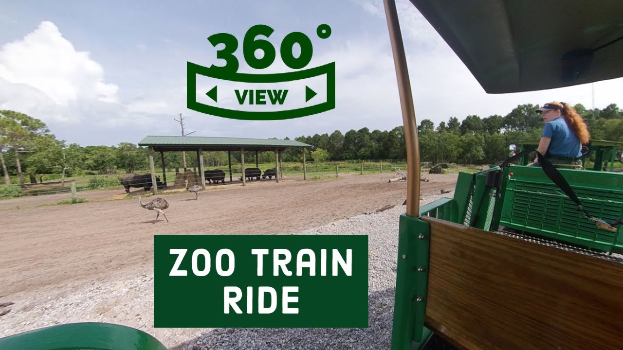 Immersive Zoo Train Ride || Gulf Breeze Zoo Virtual Experience ...
