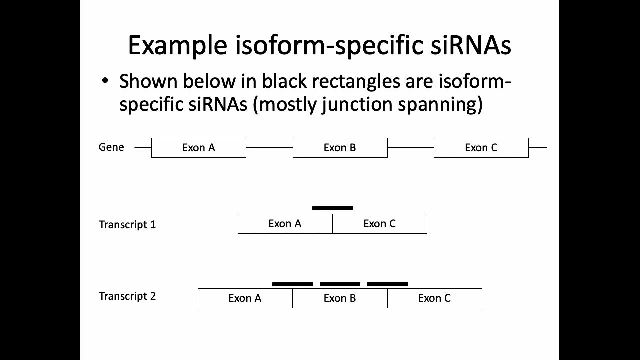 (2022) MCB 182 Lecture 2 - Functional genomics - YouTube