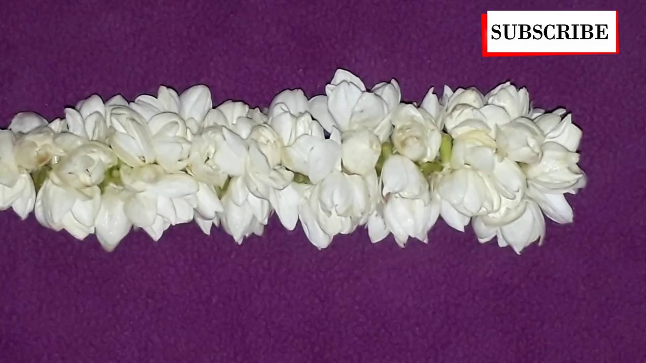 How to String jasmine Flower Garland | Madurai mullai poo Garland - YouTube