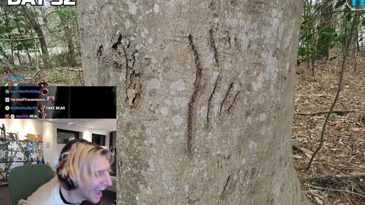 xQc Dies Laughing at MrBeast's Worst Script Yet - YouTube