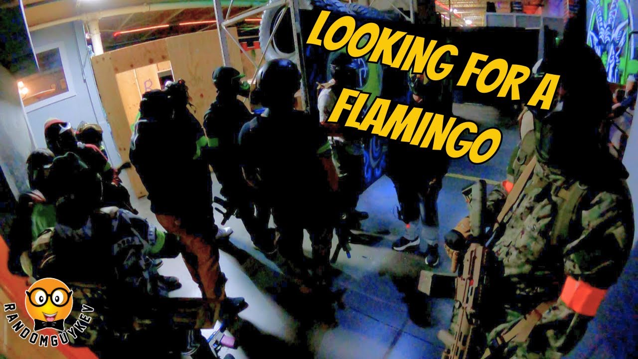 Flamingo Hunt | Gameplay | Extreme Airsoft RI - YouTube