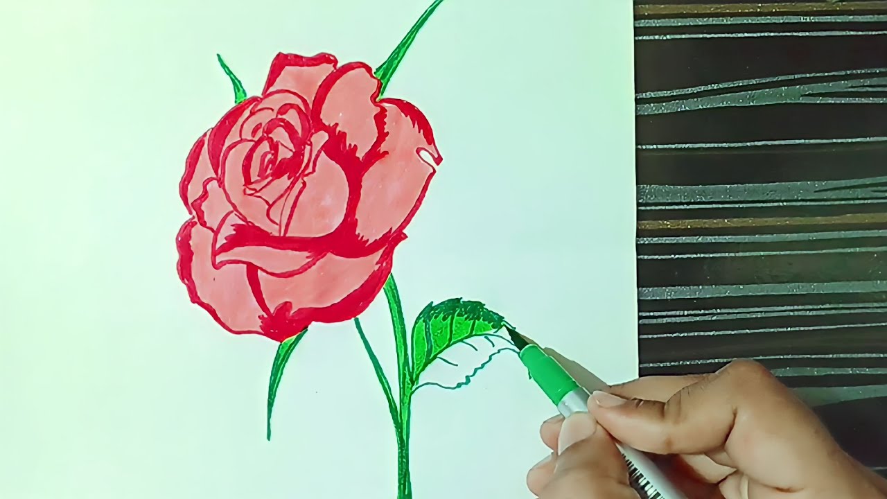 Rose flower drawing easy / very simple rose drawing - YouTube