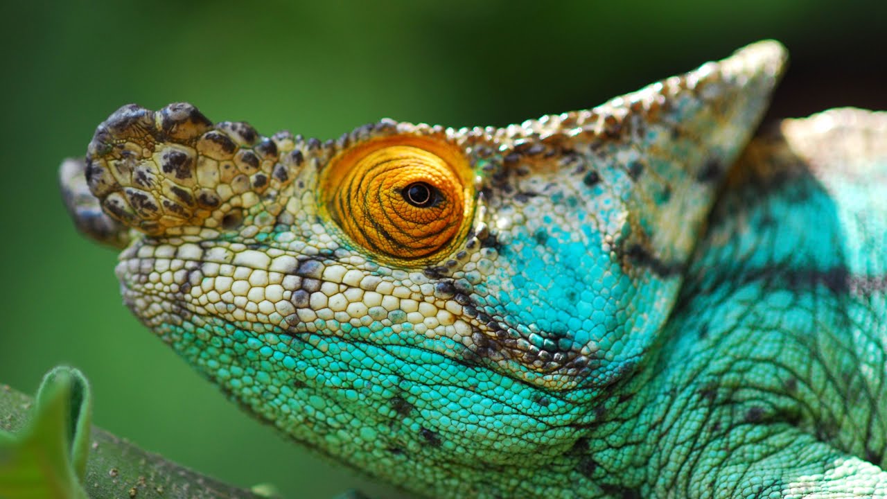 4K Ultra HD - Nikon D200 Sample Images - YouTube