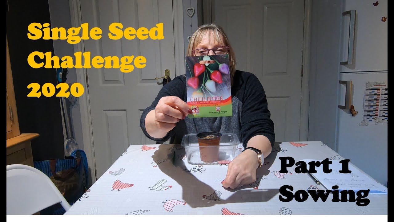 #87 The Single Seed Challenge 2020 Part 1 Sowing - YouTube