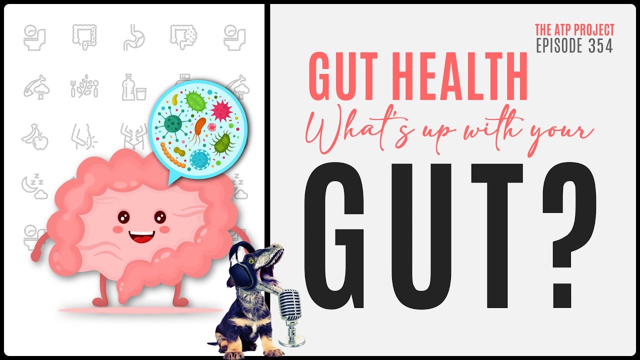 Gut Health - What's Up With Your Guts | The ATP Project 354 - YouTube