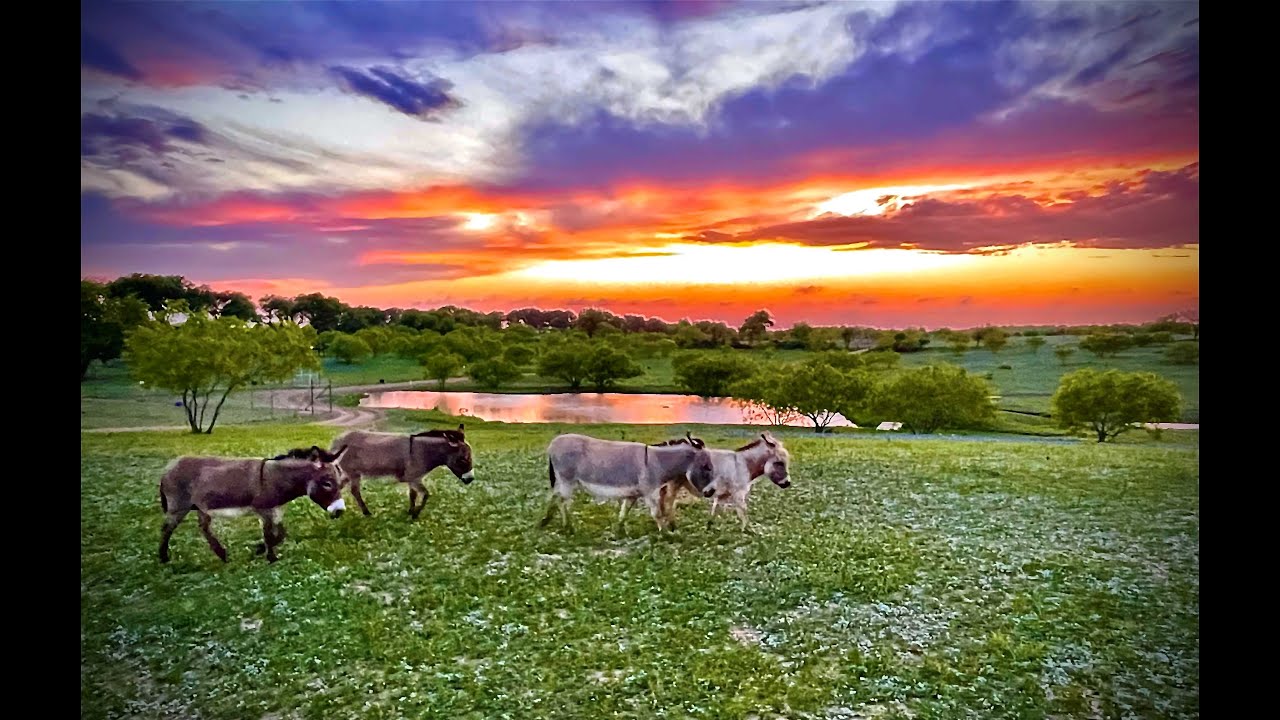Blue Hills Ranch Weekend / McGregor, Texas - YouTube