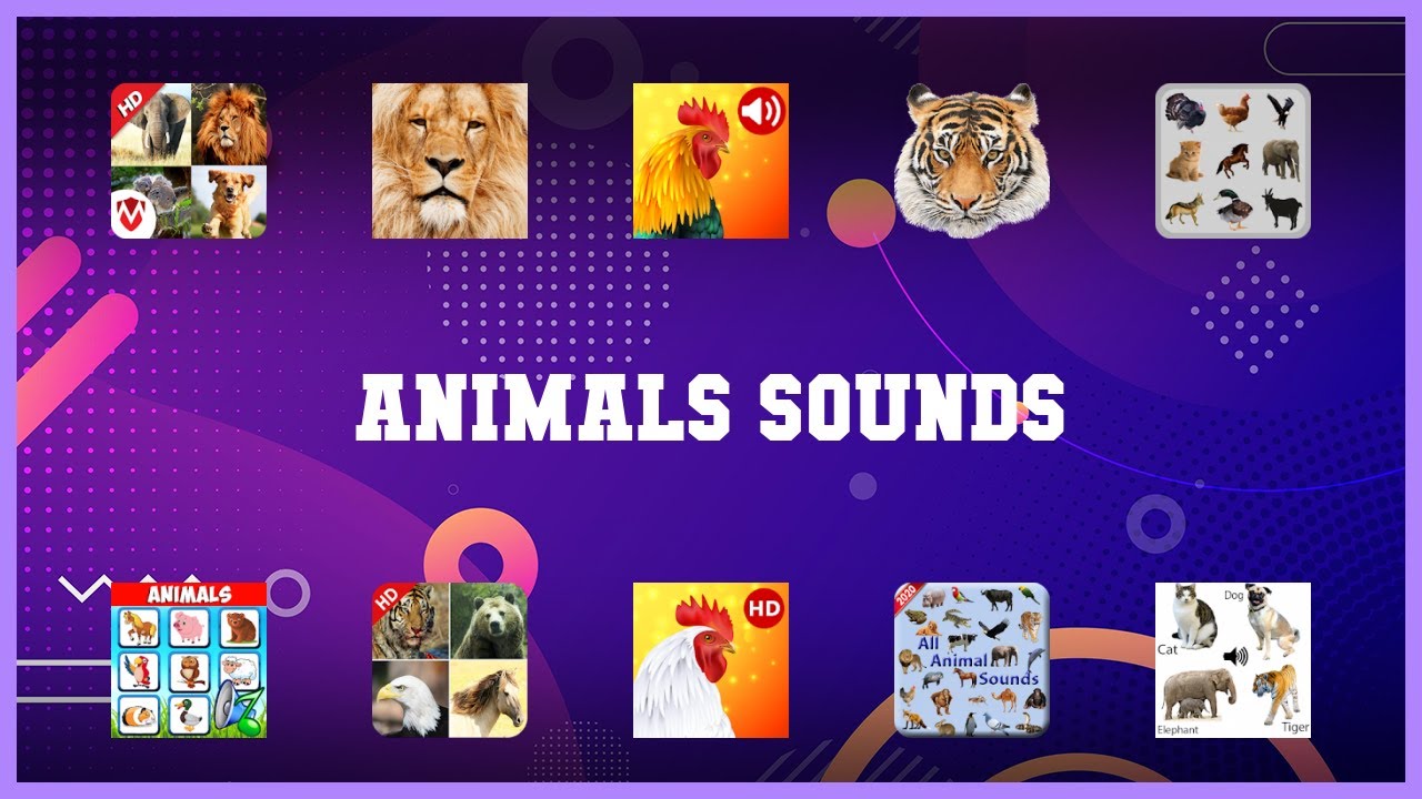 Top rated 10 Animals Sounds Android Apps - YouTube