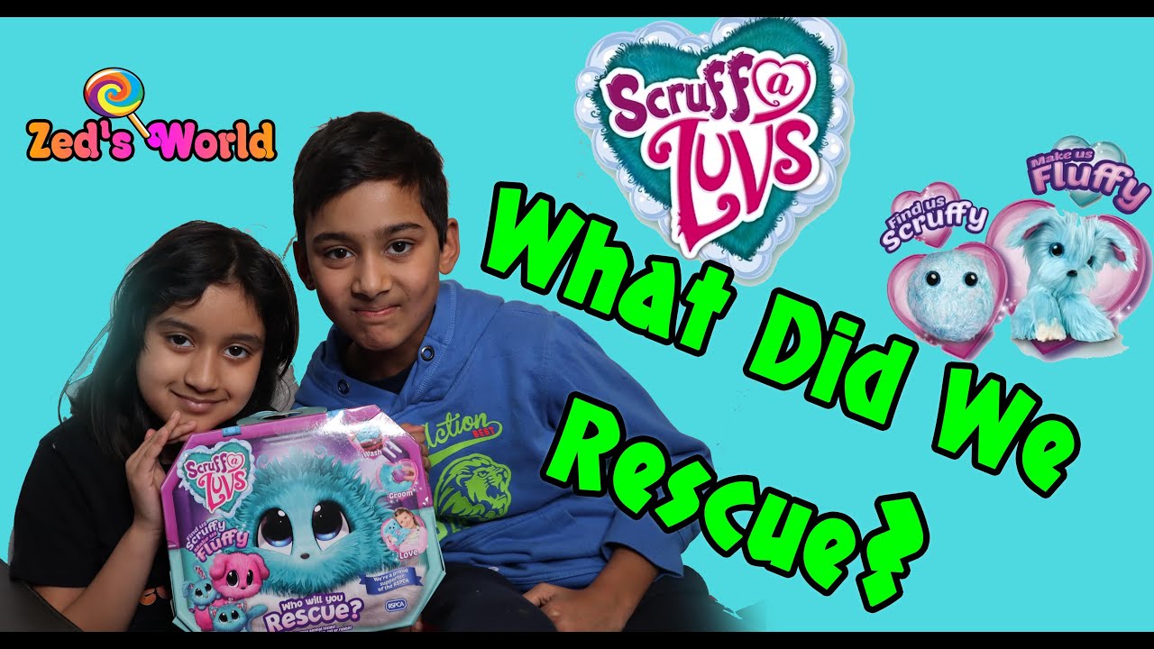 My amazing Scruff a luvs, find us scruffy make us fluffy - YouTube