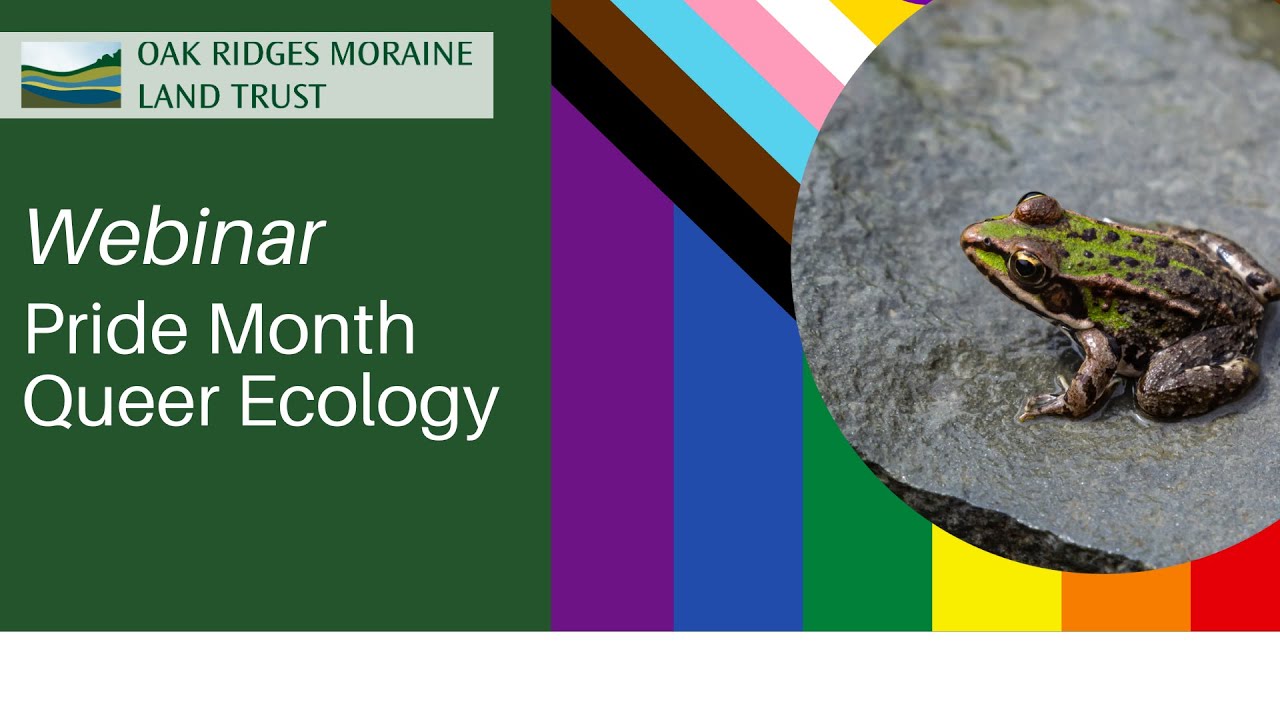 Pride Month: Queer Ecology Webinar - YouTube