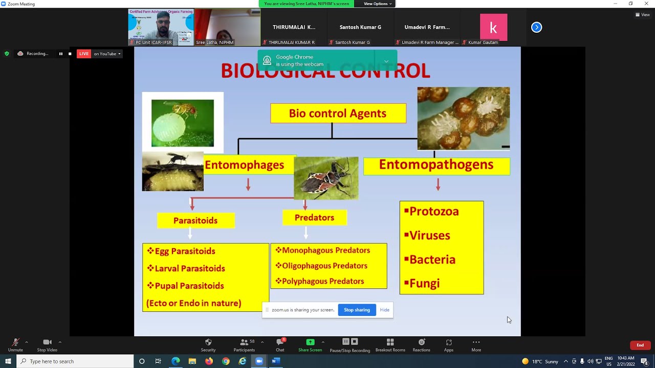 CFA on Organic Farming #Lecture Mass Multiplication of bio-control ...