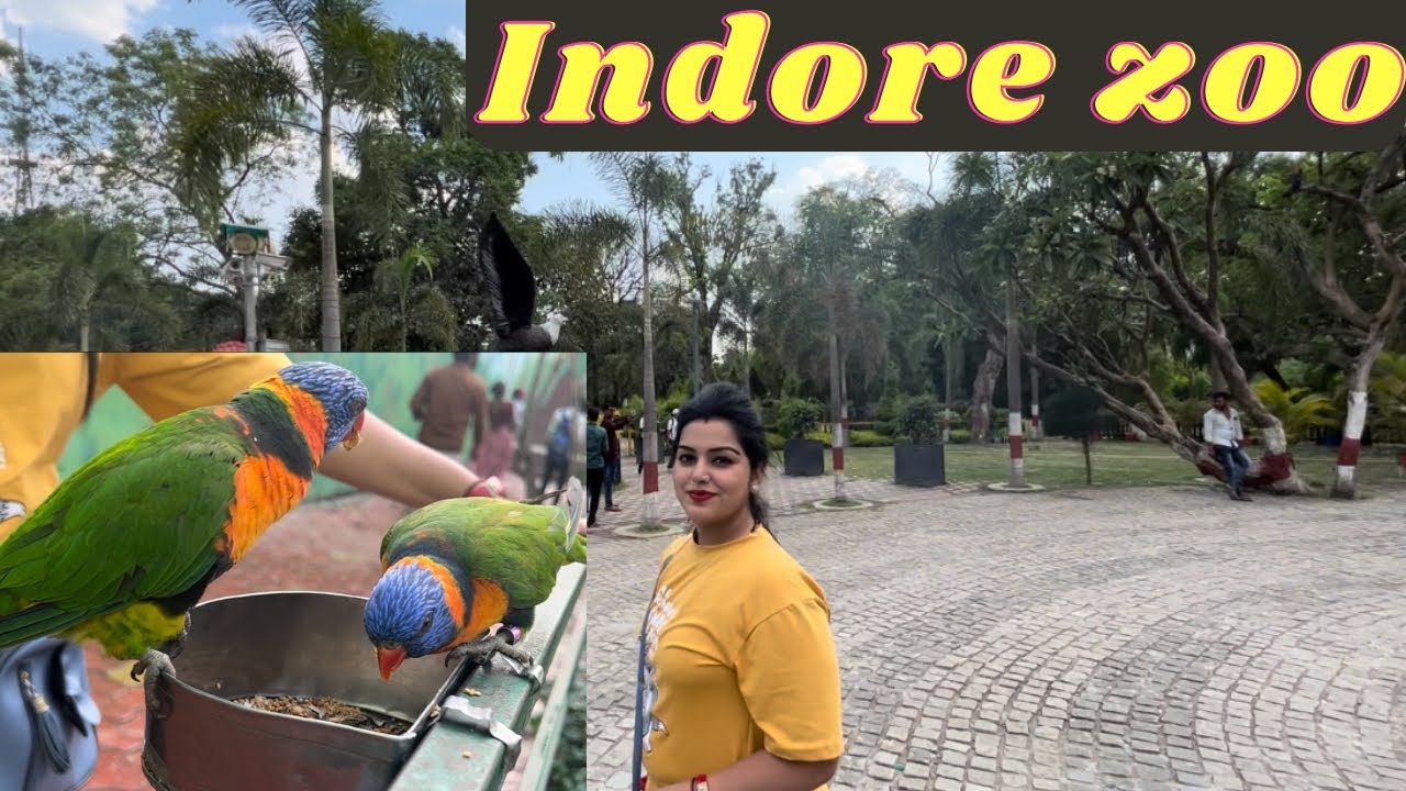 Indore zoo | zoo Indore | zoo vlog | indore zoo tour | chidiya ghar ...