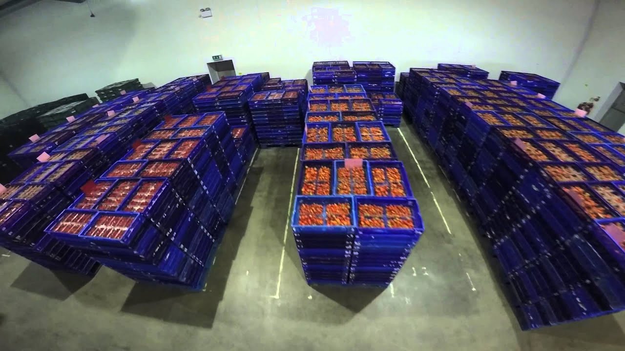 Castleton Packhouse - YouTube