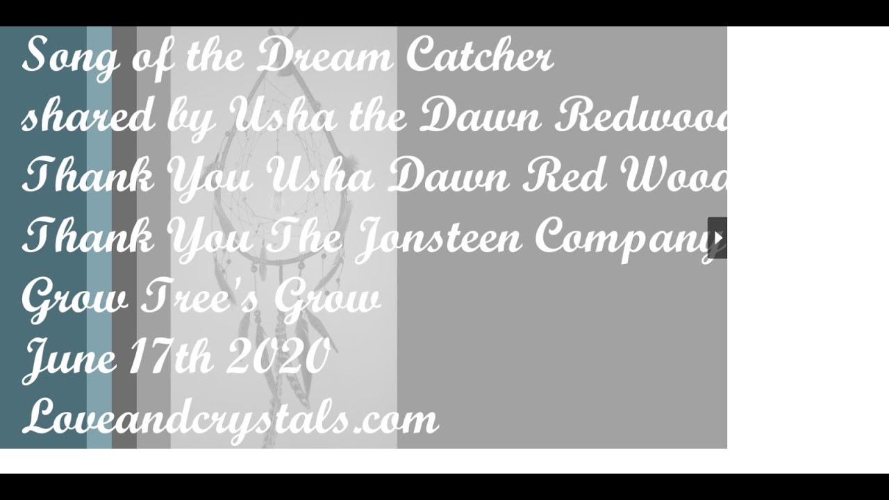 Song of the Dream Catcher by Usha the Dawn Redwood June 2020 - YouTube
