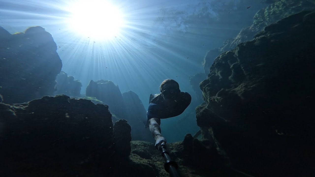 Florida Swamp Free Diving - YouTube