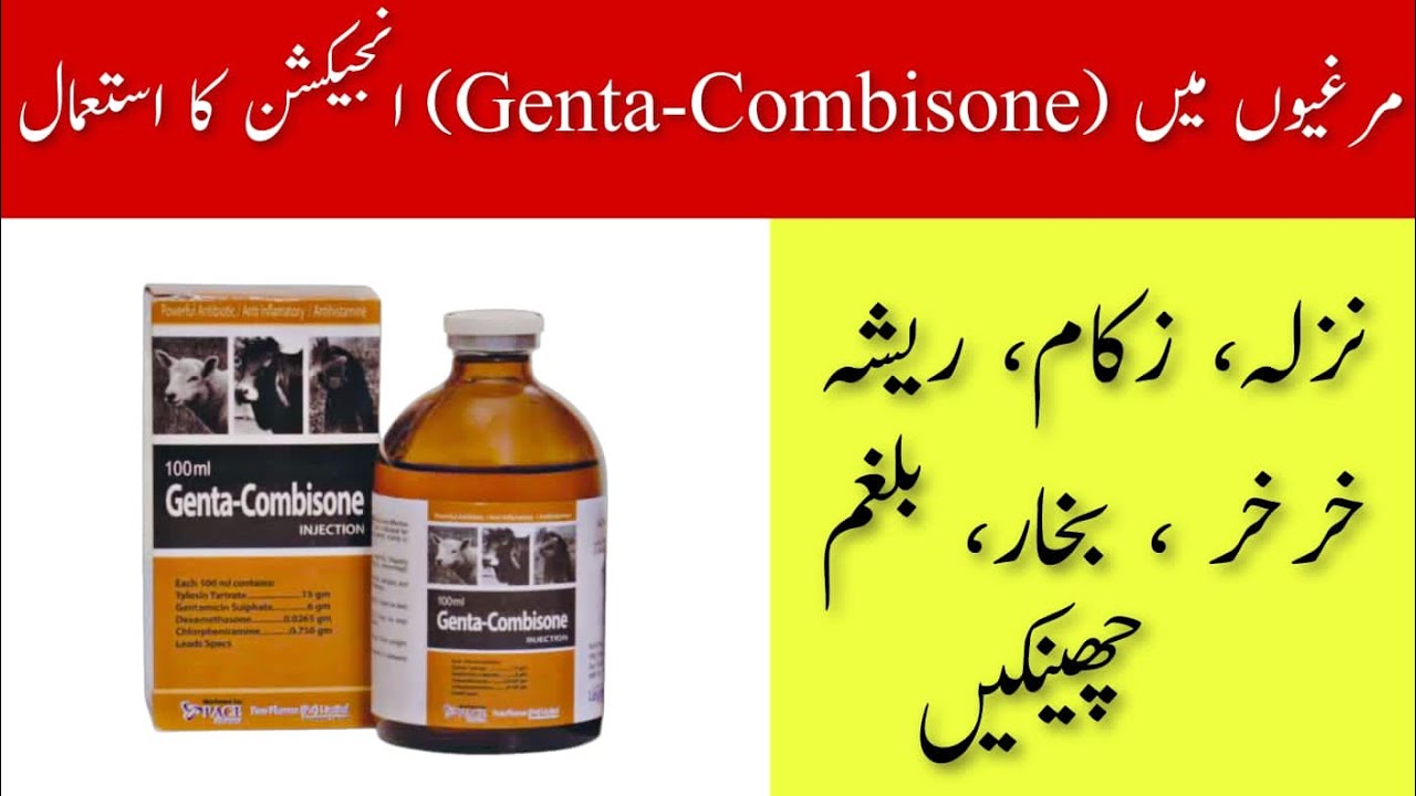 Genta-Combisone injection for Chickens | Poultry Birds and Large ...