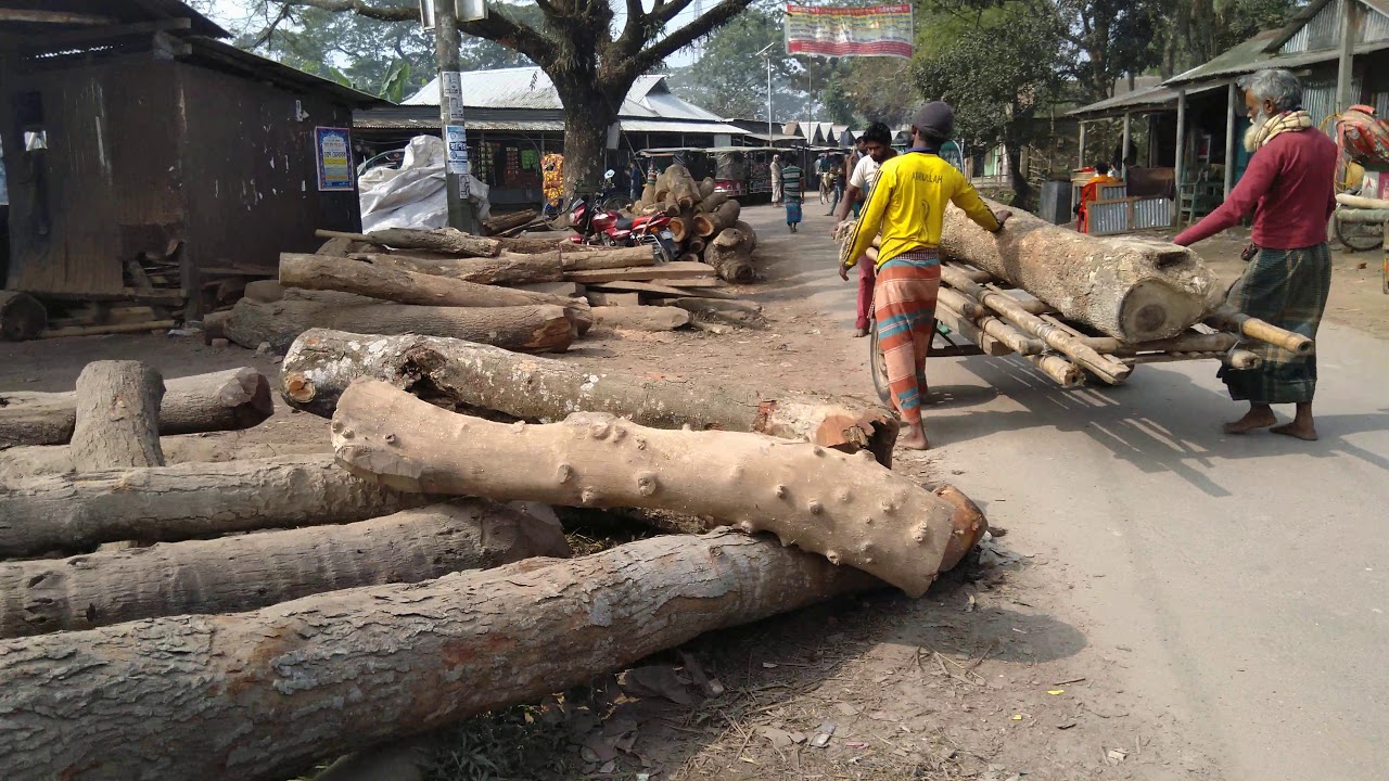 Toughest Wood Lifting Work at Sawmill।Wood Cutting After Lifting ...