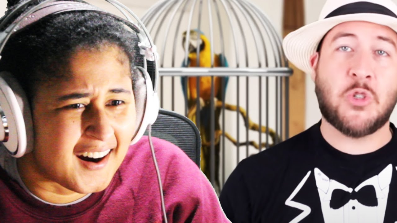 BABY CATE REACTS TO The First Guy To Ever Own A Bird | Ryan George ...