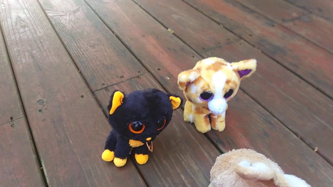 Beanie boo carrots slide for November 18. - YouTube