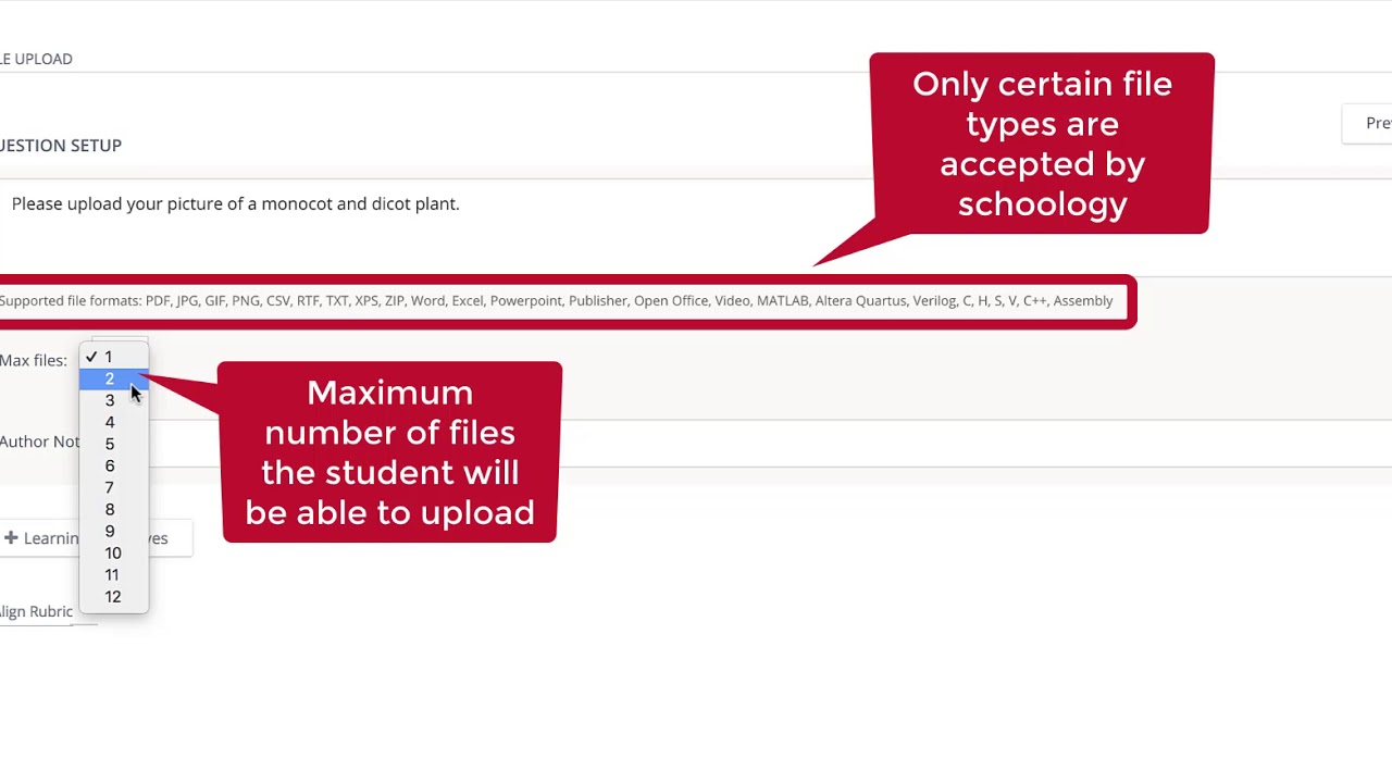 Intermediate Schoology Module 1 File Submissions Assessments - YouTube
