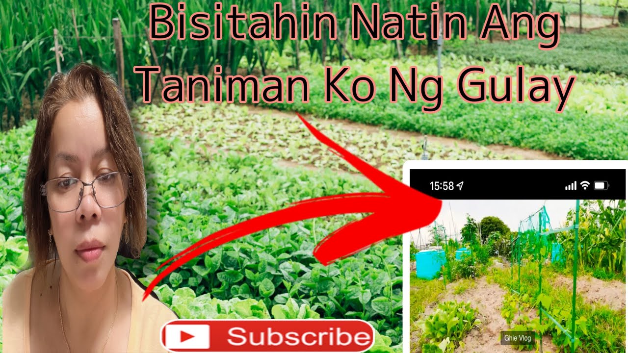 Bisitahin Natin Ang Taniman ko Ng Gulay - YouTube