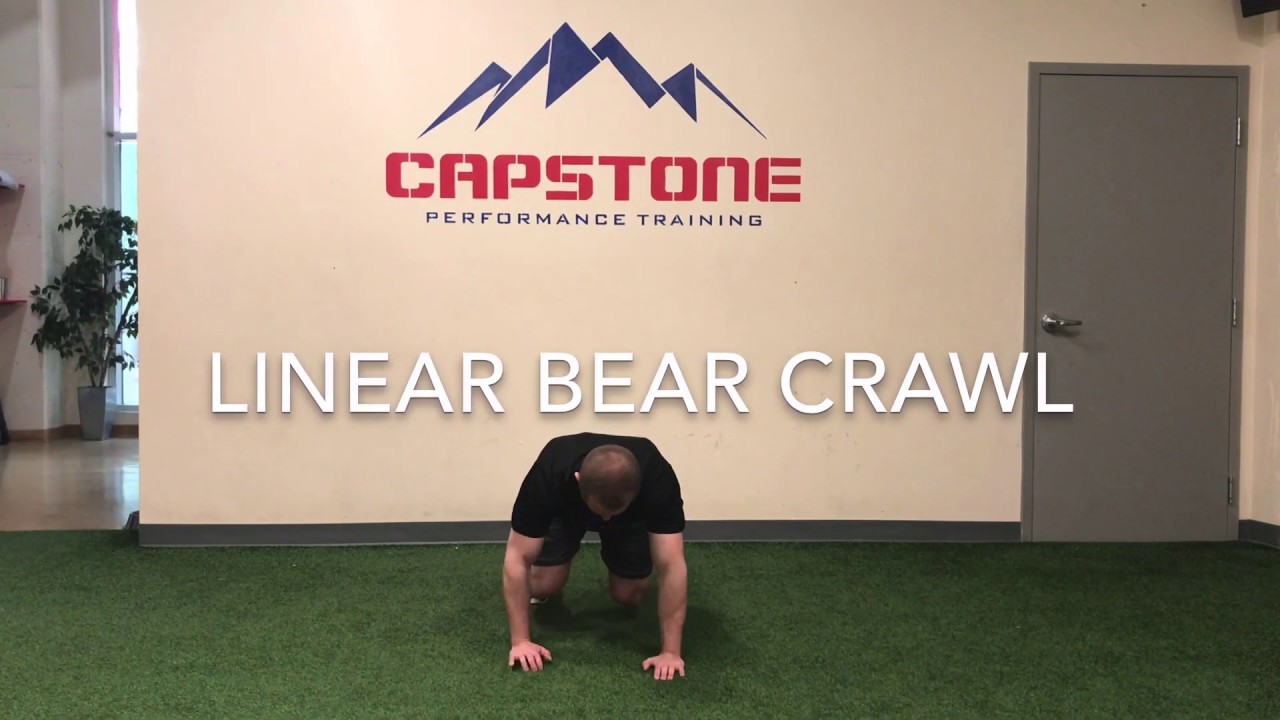 Linear Bear Crawl - YouTube