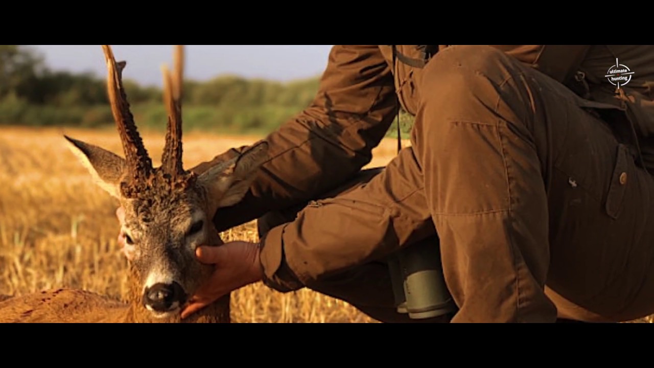 Roe Buck Hunting in Poland - 750 grams gold medal roe buck. - YouTube