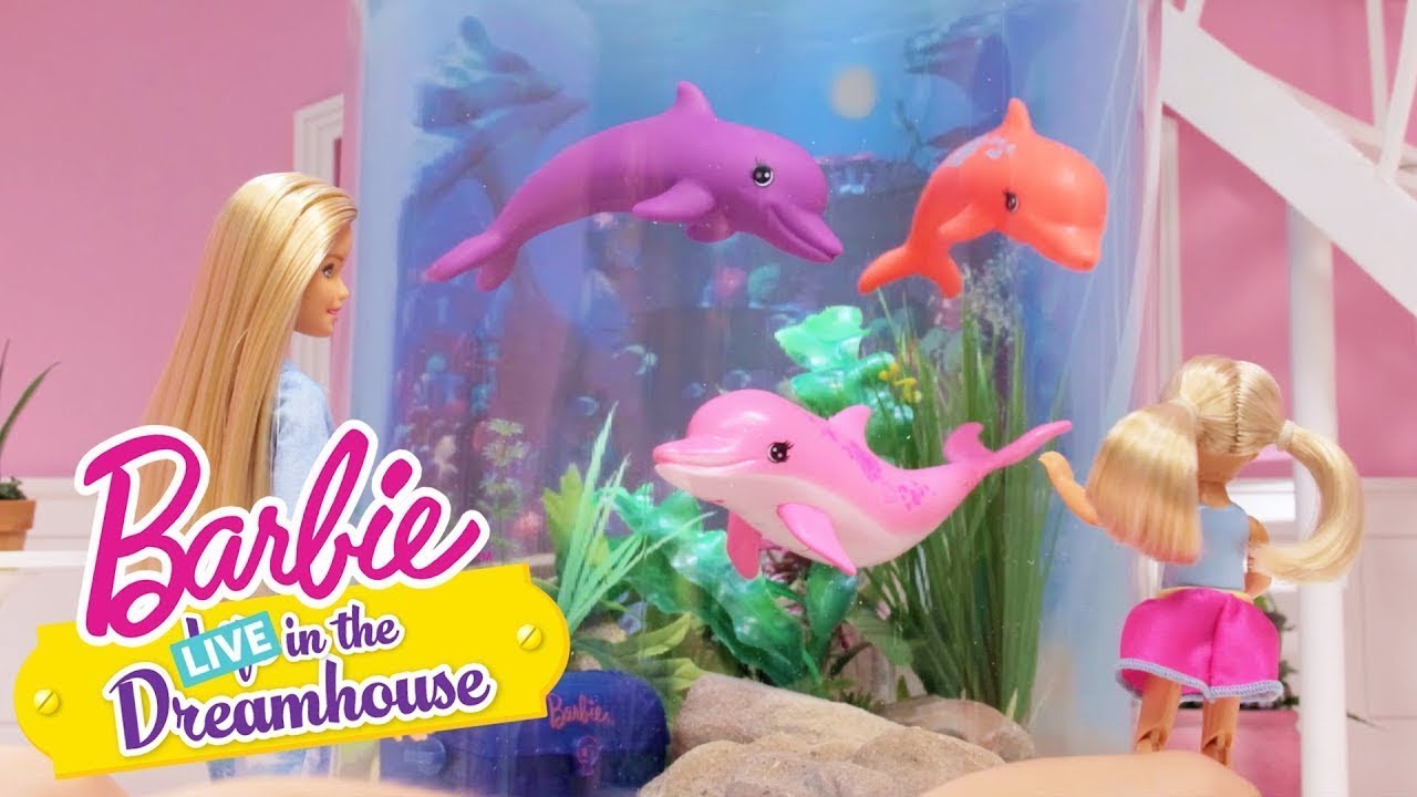 Μία παράξενη μέρα! | Barbie LIVE! In The Dreamhouse | @BarbieGreece ...
