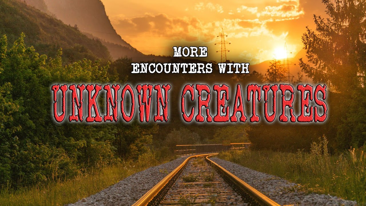 HORRIFYINGLY CRAZY Encounters with UNKNOWN CRYPTIDS - YouTube