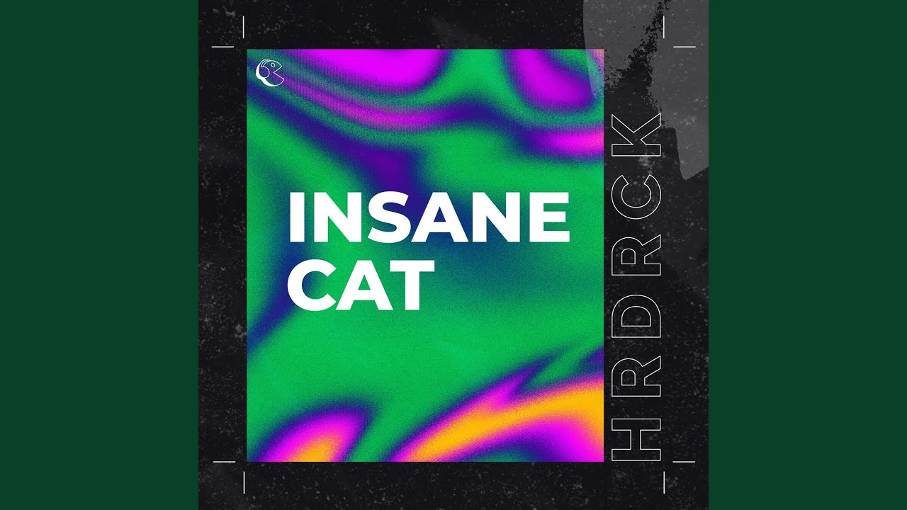 Insane Cat - YouTube