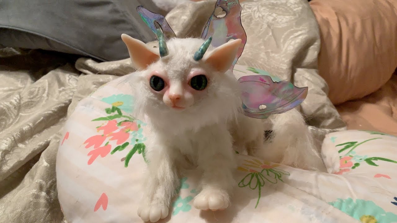 What a cute fairy kitty cat! - YouTube