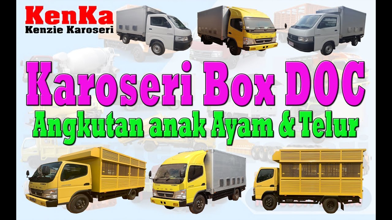 Harga Mobil dan Truck Box DOC Angkutan Anak Ayam - YouTube