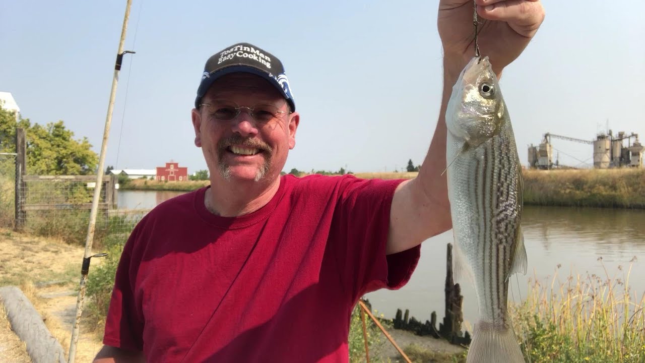 My Striped Bass Fishing Comeback in the Petaluma River - YouTube